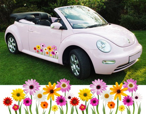 Girly Daisy Flowers Car Van Bike Stickers Decal Graphics - Beetle, Mini ...