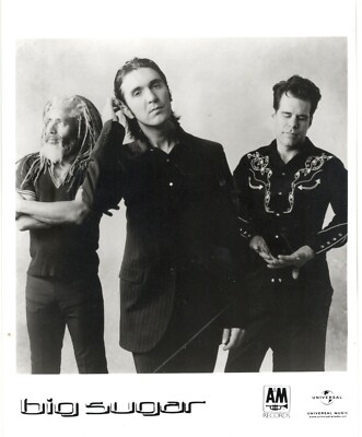 Vintage Press Photo of Big Sugar Band Black & White 8" x 10"-Universal ...