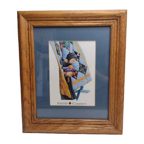Nancy Noel Amish Country Amish Girl Quilt & Doll Print Framed | eBay