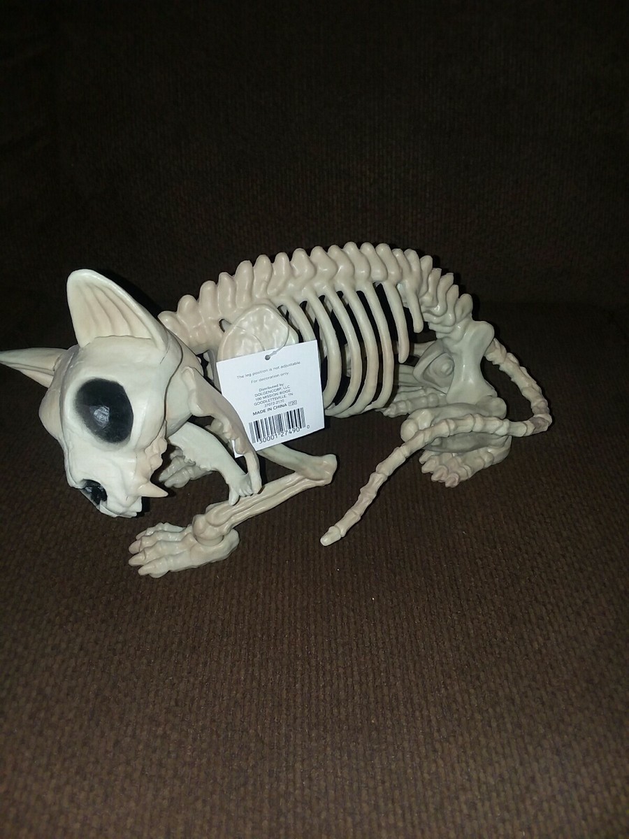 Cat Skeleton Sitting
