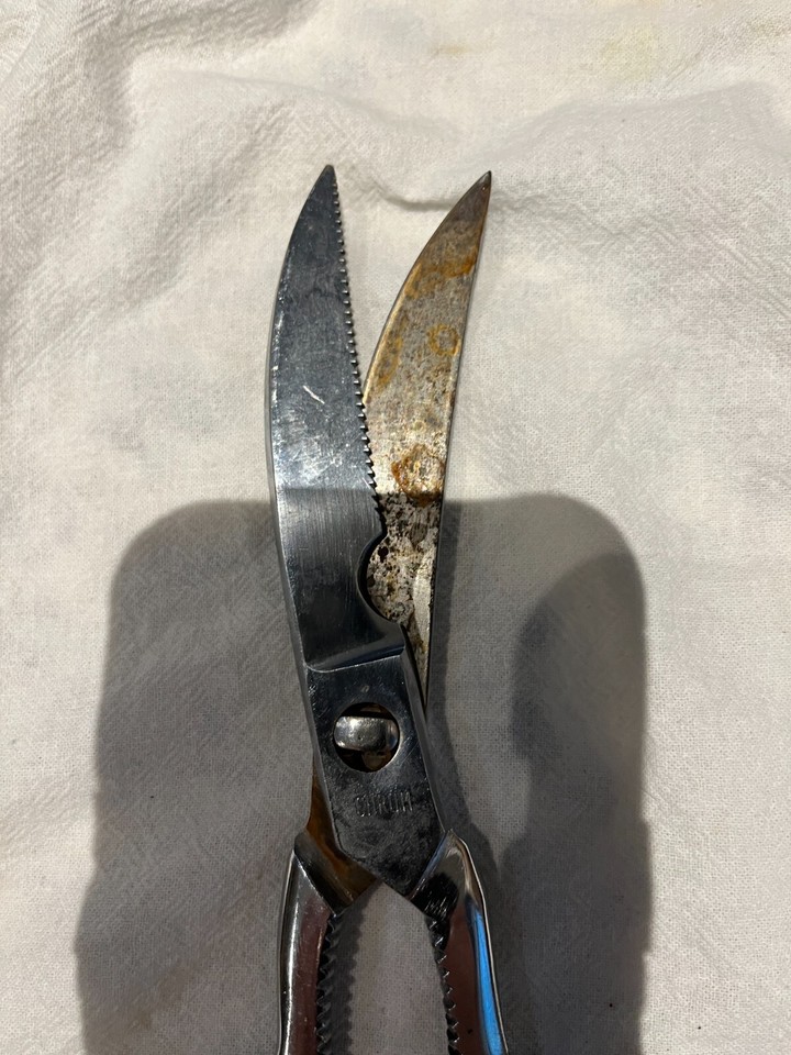 Vintage Scissors Chrom Take Apart Serrated Kitchen Shears Italy 8.5” | eBay