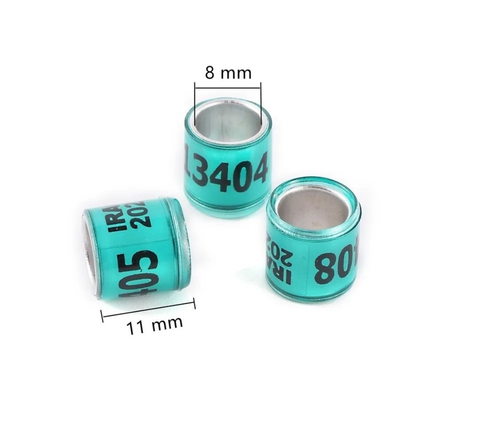 100 Pcs Pigeon Identification Rings 2025 Bird Leg Bands Foot Poultry | eBay