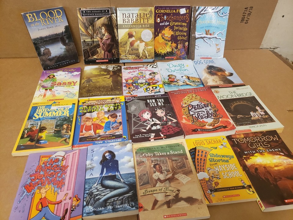 Lot of 20 Chapter ALL SCHOLASTIC Children Young YOUTH RANDOM UNSORTED ...