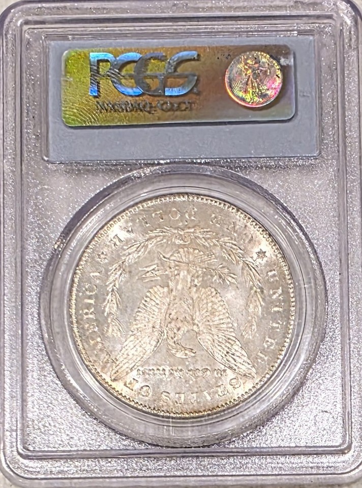 1880/79-CC Morgan Silver Dollar / Reverse Of 1878 / PCGS MS64 NICE!! | eBay