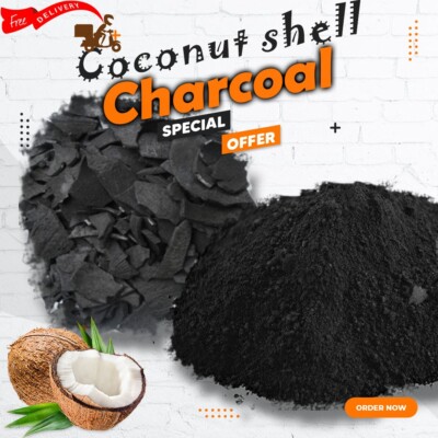 Charcoal Coconut Activated Shell Organic Chips Carbon Pure Powder ...