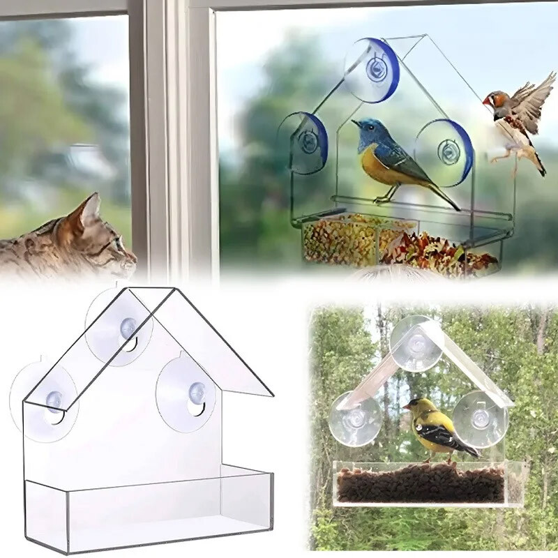 Glass Window Bird Feeder Station Seed Peanut Mealworm Suction Perspex ...
