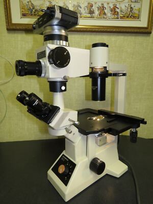 Microscopes - Tissue Culture Microscope