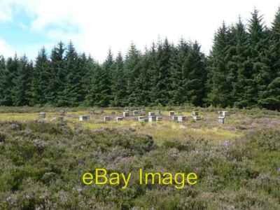 Photo 6x4 Hives on Cochrage Muir Bridge of Cally The heather was in ...