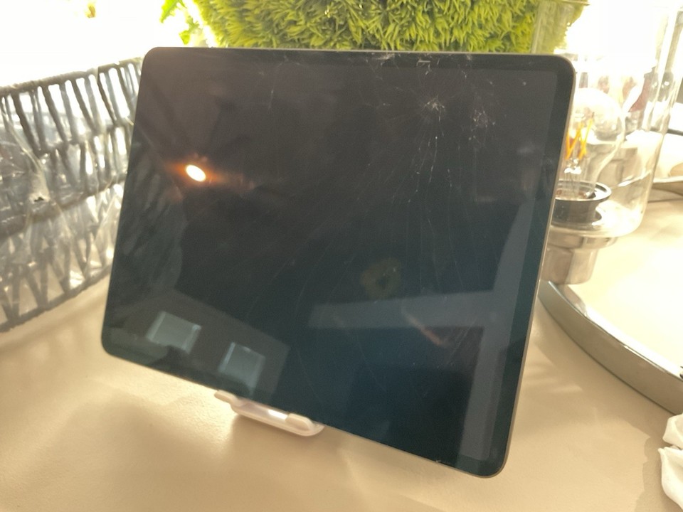 Apple iPad Pro 4th Gen A2229 256GB Wi-Fi 12.9in Space Gray 190199416826 ...