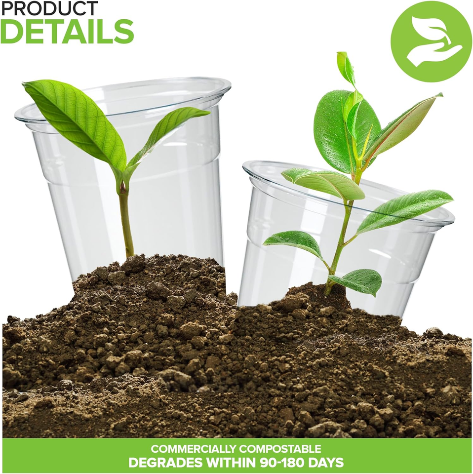 16 Oz Clear Commercially Compostable Cups with Lids and Straws (Set of ...