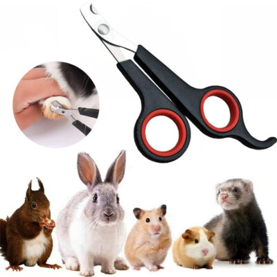 Cat Nail Clippers Stainless Steel Claw Trimmer Scissor for Puppies ...