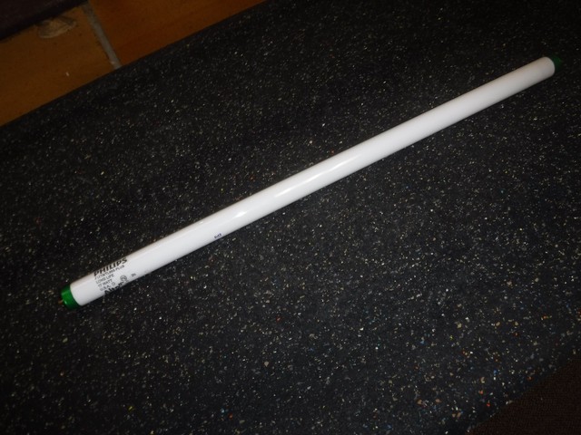 Philips 382150 - F17t8/tl865 Plus Straight T8 Fluorescent Tube Light ...