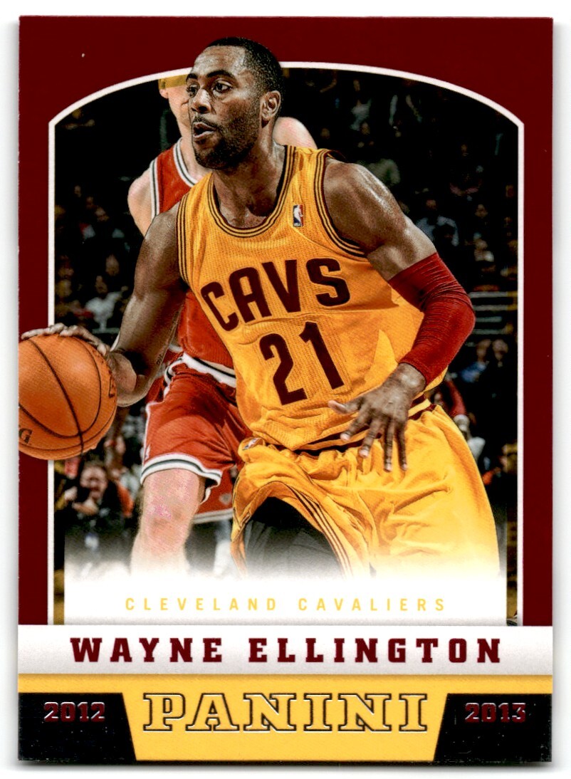 Wayne Ellington Cavs