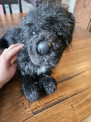 DOUGLAS CUDDLE TOY NEWFOUNDLAND DOG 16" STUFFED ANIMAL #2033 | eBay