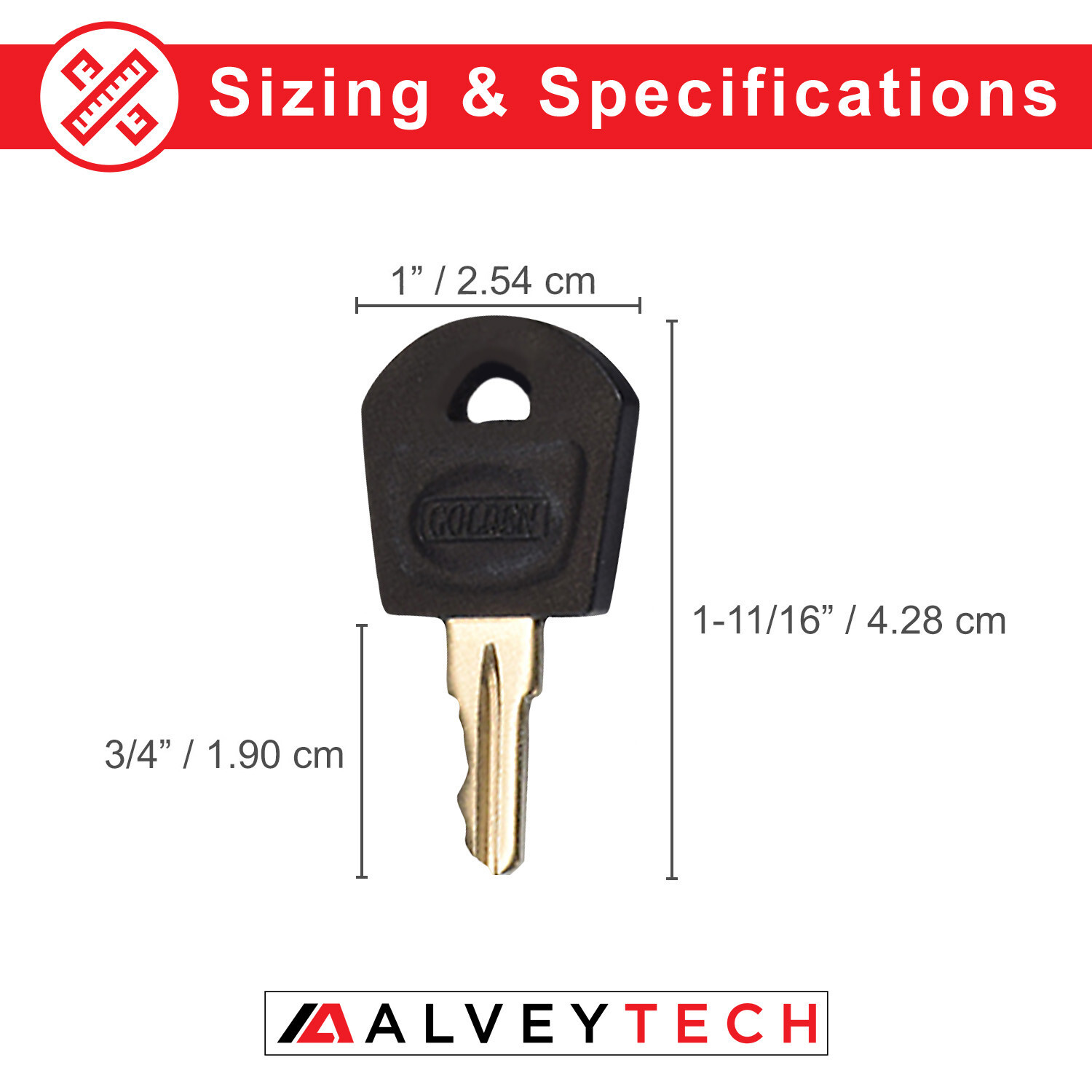 Key for Golden Companion and Buzzaround Scooters (Model/Year Specific ...