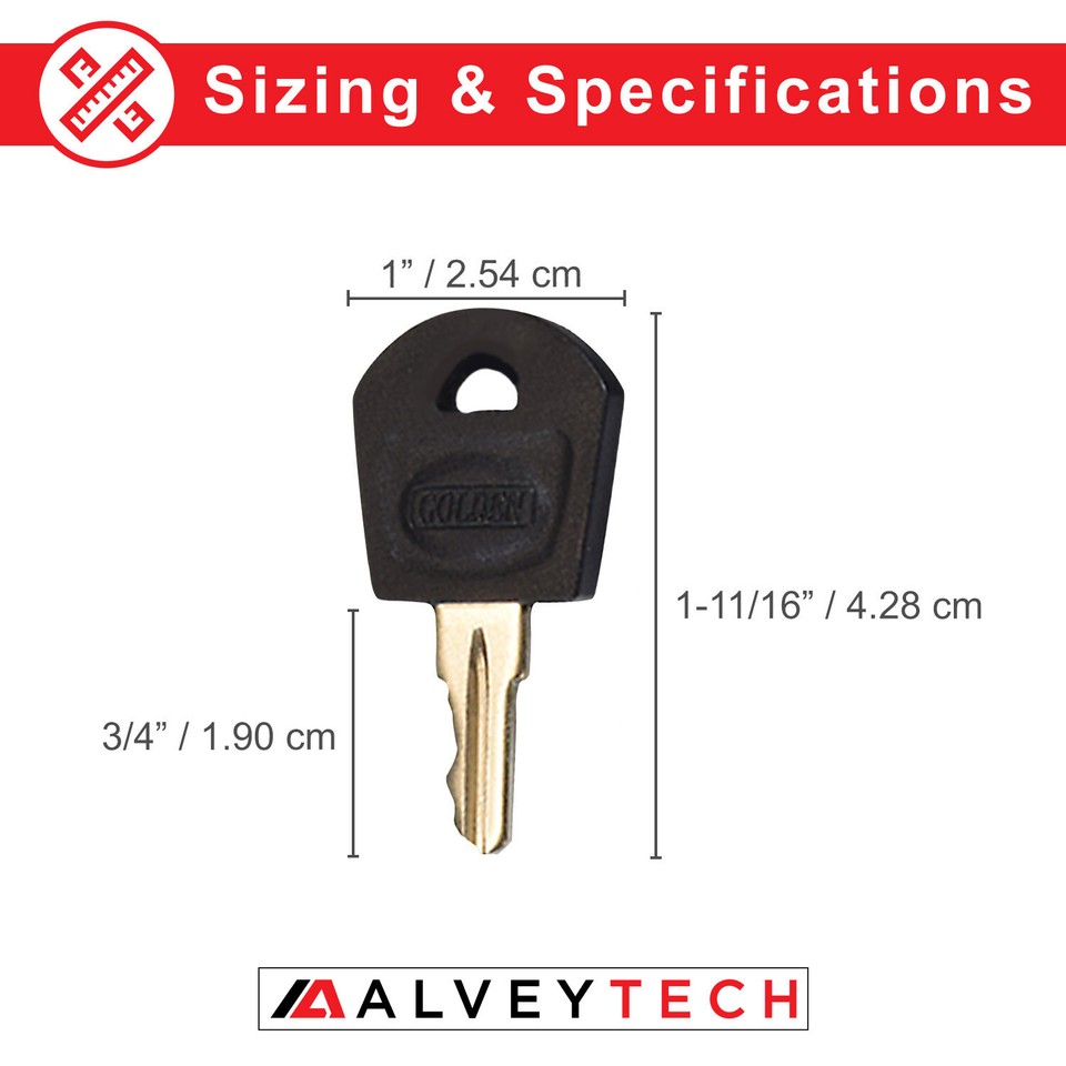 Key for Golden Companion and Buzzaround Scooters (Model/Year Specific ...