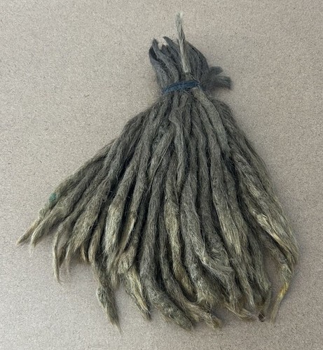100% Real HUMAN Hair/Dreadlocks CAUCASIAN Naturally Grown(Dreadlock ...