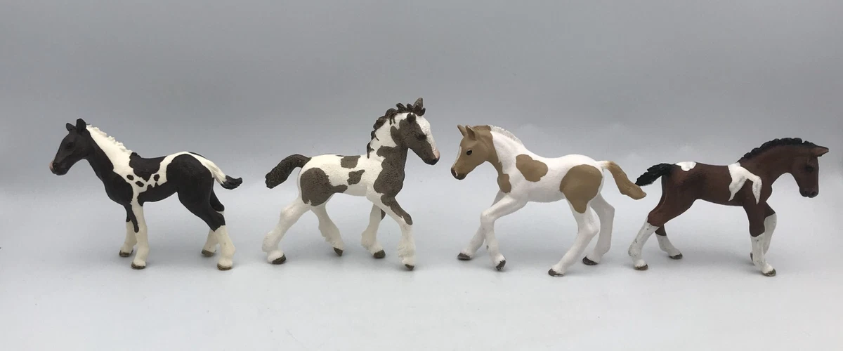 Baby Pinto Horses