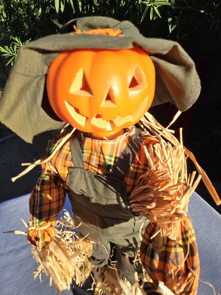 Vintage Halloween Gemmy Animated Scarecrow Pumpkin Head | eBay