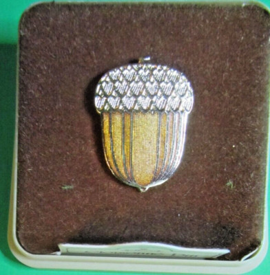 VINTAGE HALLMARK ACORN GOLD METAL CLOISONNE ENAMEL FALL AUTUMN LAPEL ...
