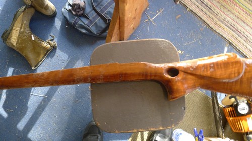 thumbhole mauser rifle stock | eBay