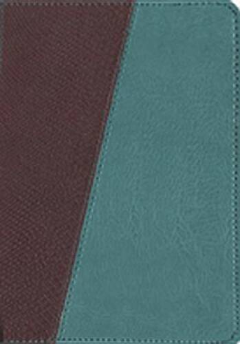 The Message Compact, Python - Imitation Leather By Peterson, Eugene H ...