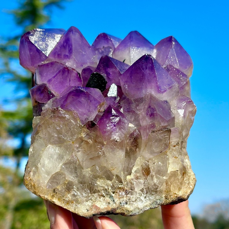 3.61LB Natural Amethyst Cluster Quartz Crystal Backbone Mineral ...
