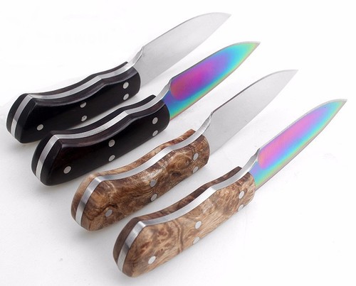 Mini Hunting Survival Tactical Fixed Blade Knife 440C Steel Blade, with ...