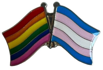 Pack of 24 Rainbow Striped & Transgender Wavy Flags Motorcycle Hat Cap ...