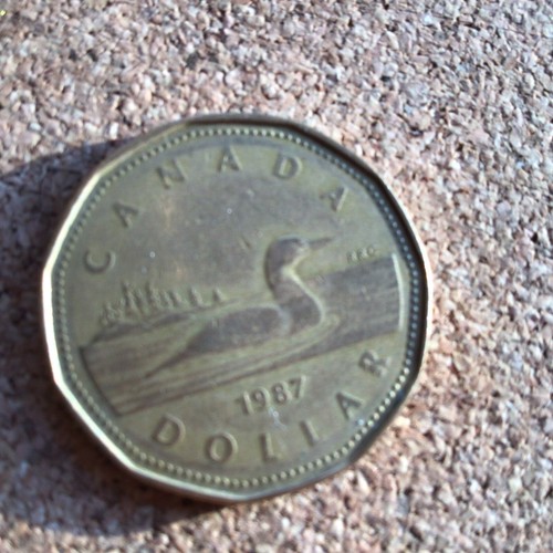 VINTAGE ELIZABETH II D. G. REGINA CANADA DOLLAR GOLD COLOR "RRC" ON ...