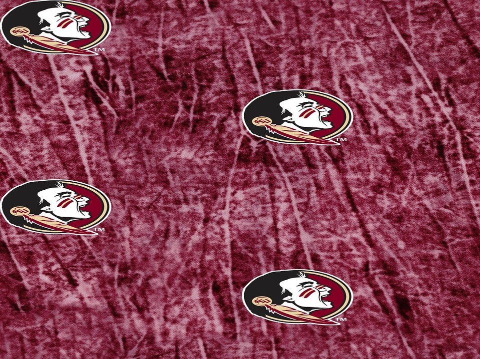 Florida State University FSU Seminoles Cotton Fabric by the Yard-ALL ...