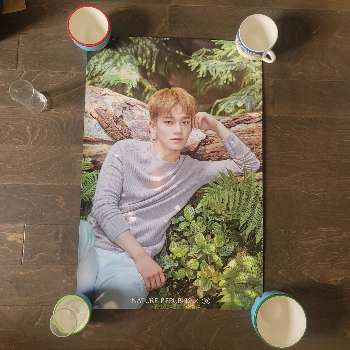 Exo Nature Republic Poster