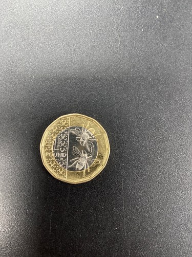 King Charles 2023 £1 One Pound coin Bees | eBay UK
