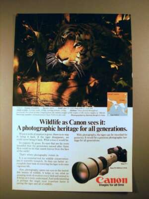 1981 Canon New F-1 Camera Ad - Tiger! | eBay