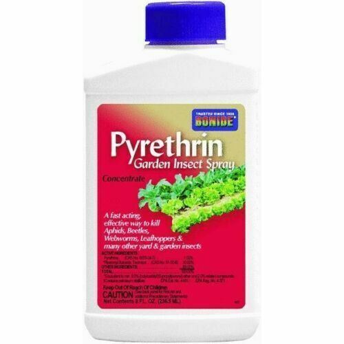 Pyrethrin Concentrate Garden and Insect Spray, Bonide Products, 8 ...