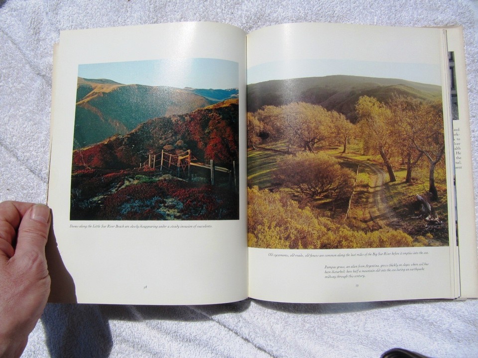 Steve Crouch MONTEREY COAST California Fog and Sun, Sea and Stone ...