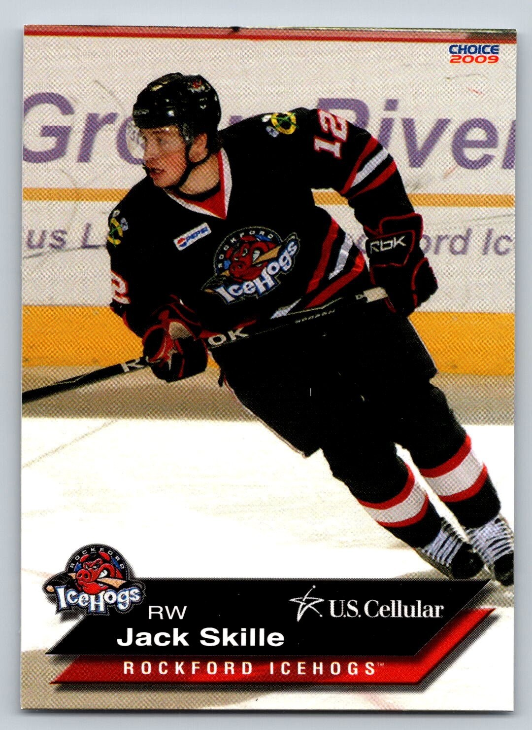 Jack Skille 2008-09 Rockford IceHogs Anniversary Set | eBay