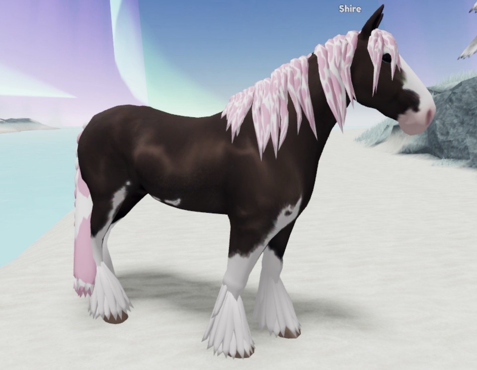 Wild Horse Islands 🌸IUH Rare Coat Dark Sab Pink Cow Print Shire PCP 🌸 ...