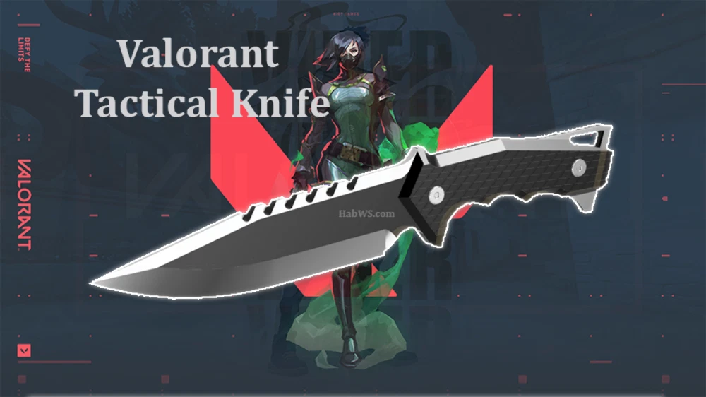 All Valorant Knife Skins Tier List, Prices, And How To Get, 58% OFF