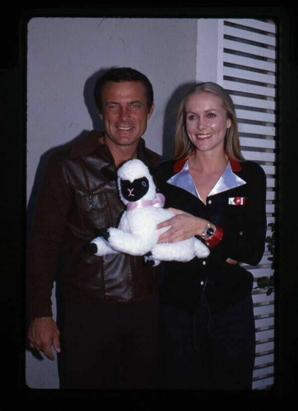 Nancy Conrad Actress Nancy DiPerno Obituary Enfield, CT | Browne