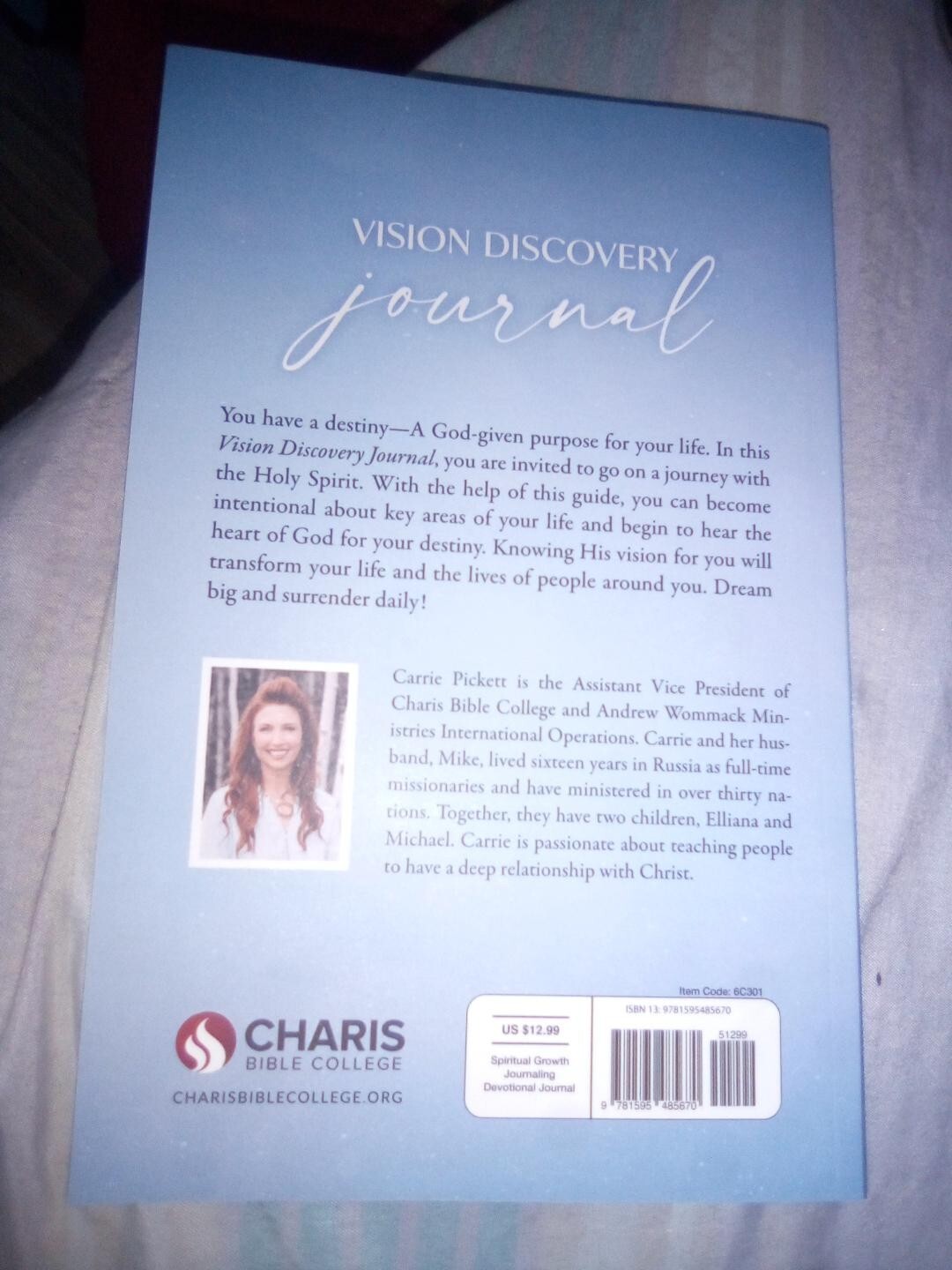 Vision Discovery Journal by Carrie Pickett (2023, Trade Paperback) for ...