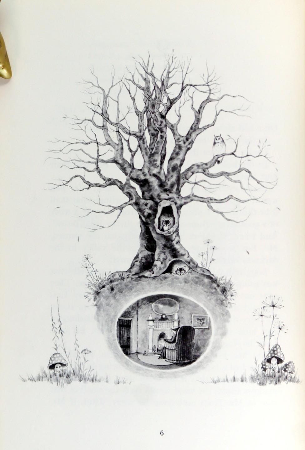 Roald Dahl Donald Chaffin 1st Ed 1970 Fantastic Mr Fox Hardcover w ...