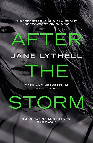 After the Storm By Jane Lythell. 9781781855324 9781781855324| eBay