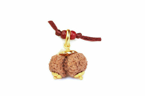 Gauri Gouri Gowri Shankar Rudraksha Pendent Java Origin Lab Certified ...