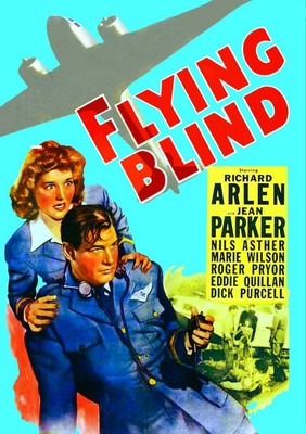 Flying Blind (DVD) | eBay