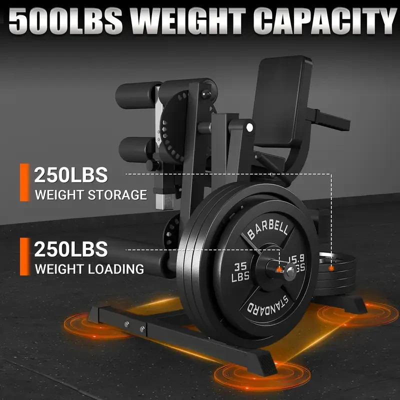2-in-1 Seated AB Curl & Back Extension Machine - 450lbs Weight Capacity ...