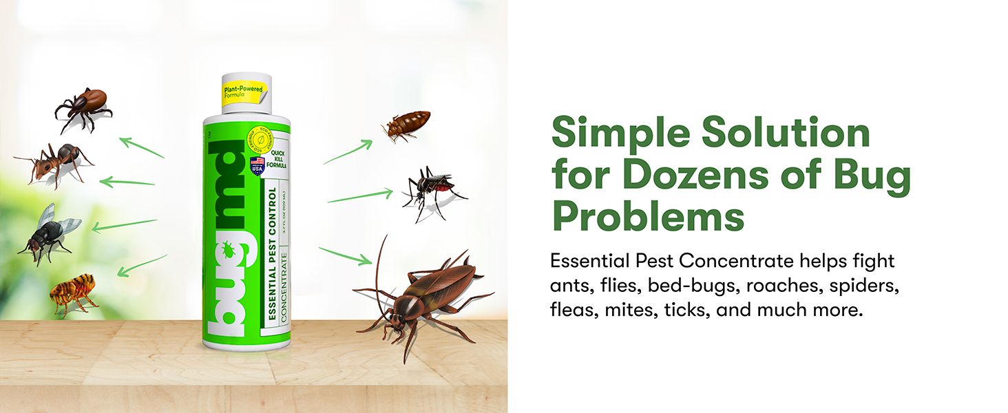 BugMD Pest Control Essential Oil Concentrate for Home Bed Bug Spray 3 ...