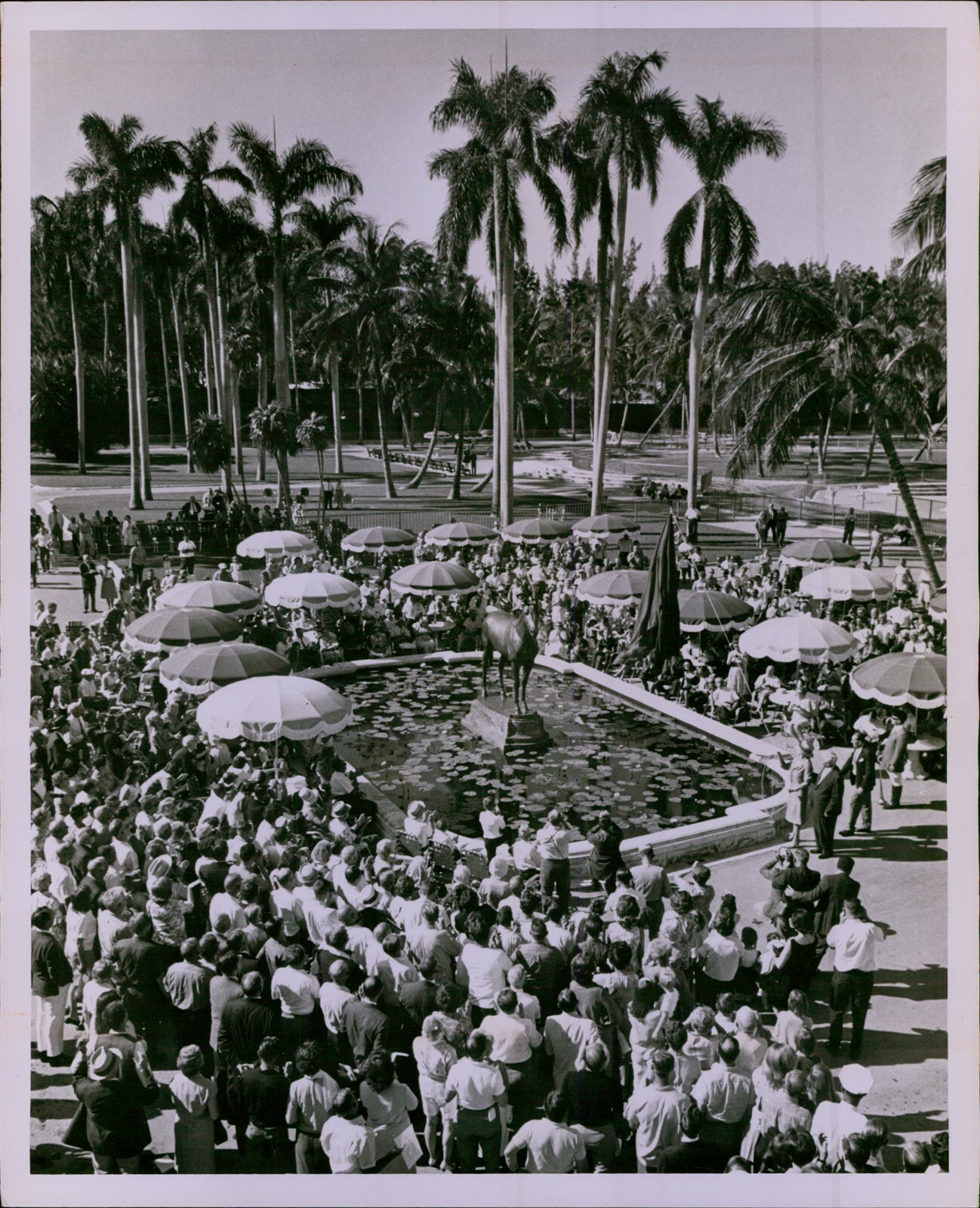 LD208 1965 Orig Bob East Photo LUCILLE MARKEY Statue Unveiling Hialeah ...