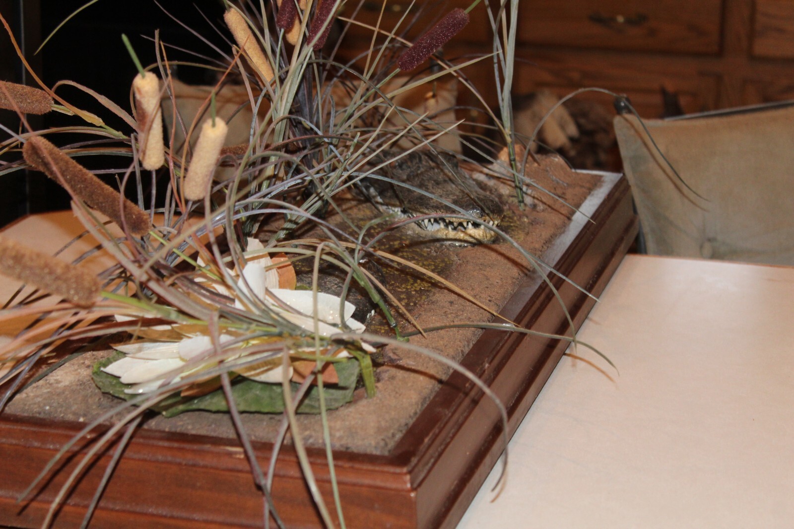 2 Alligators Reptiles Taxidermy Snake Lizard Diorama Display Whitetail ...