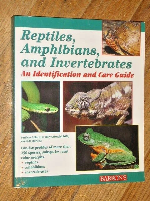 Invertebrates Amphibians